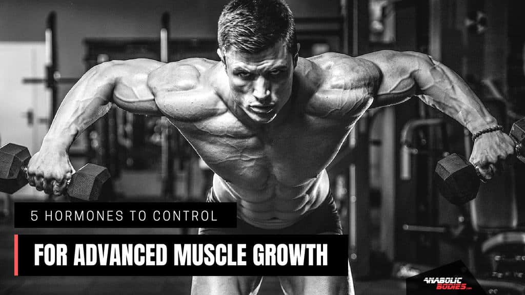 5 Hormones To Control In Bodybuilding For Advanced Muscle Growth Anabolic Bodies™