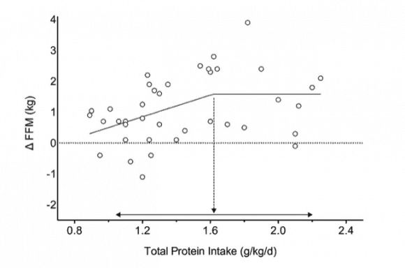Catabolic vs. Anabolic State: How It Affects Your Muscle Growth